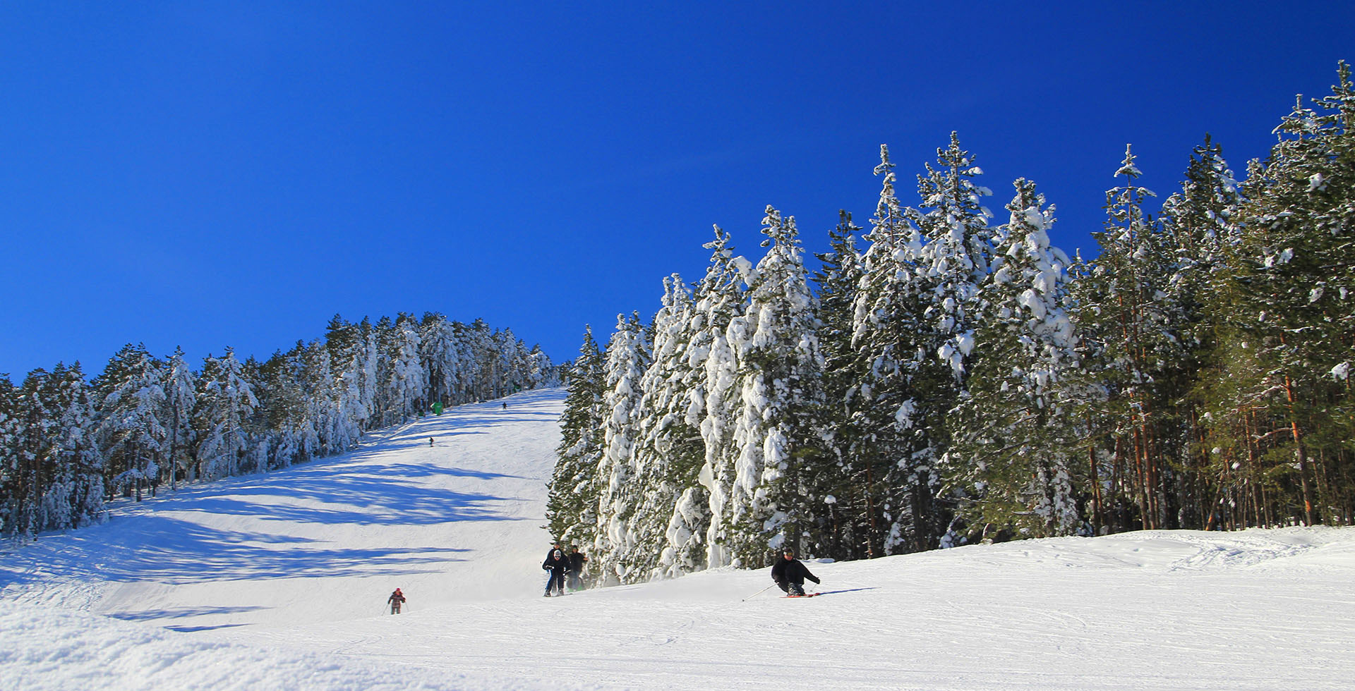 O centru | Skijališta Srbije