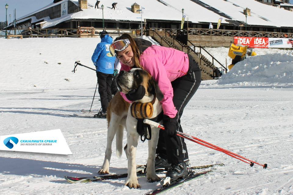 Skipi i Vi na Kopaoniku | Skijališta Srbije
