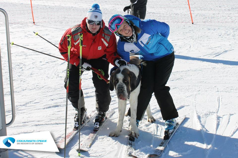 Skipi i Vi na Kopaoniku | Skijališta Srbije